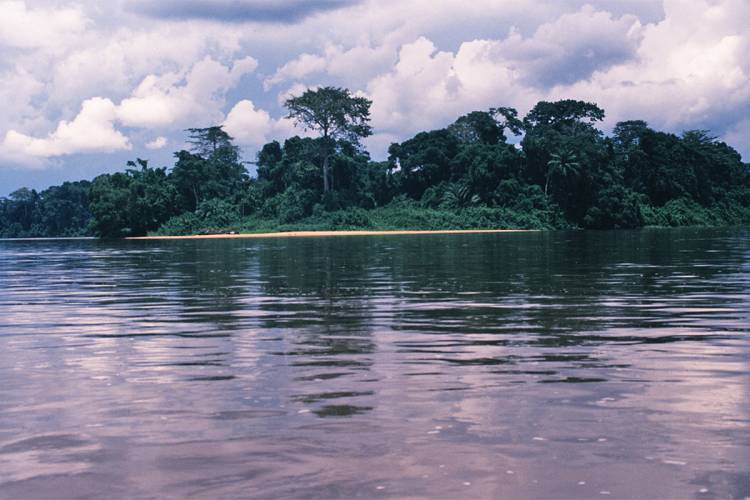 Kongo Fluss-Expedition 2022 - Kongofluss Safari - Bwana Tucke-Tucke