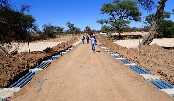 Buschtrommel 2025 Dezember – Bwana Tucke-Tucke